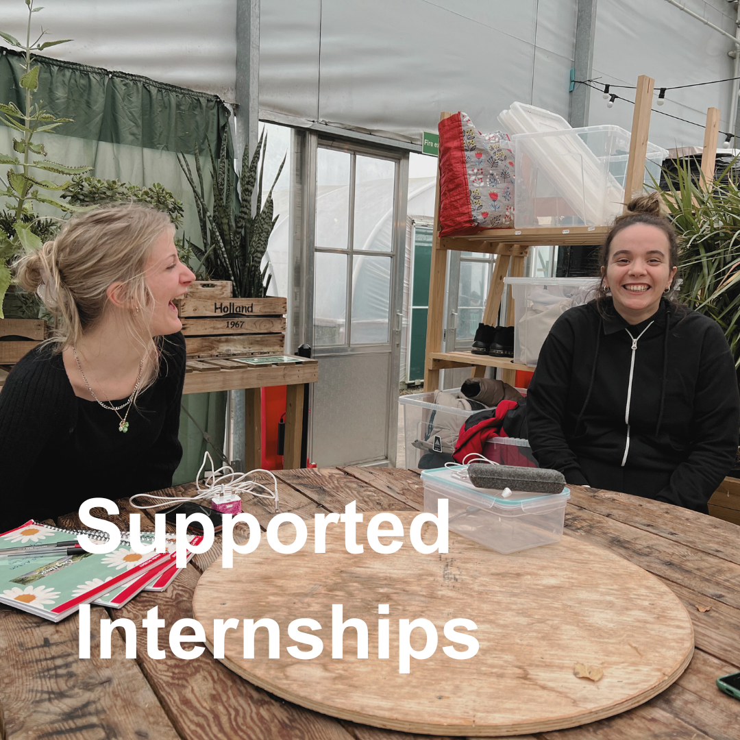 Supported Internships - Lighthouse Futures Trust